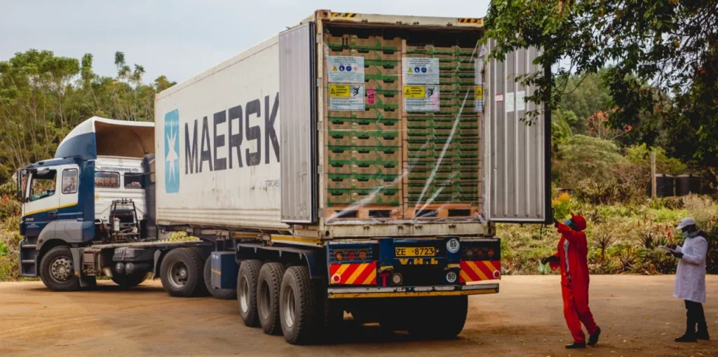Kakuzi assures global buyers that Kenya is working to resolve ...